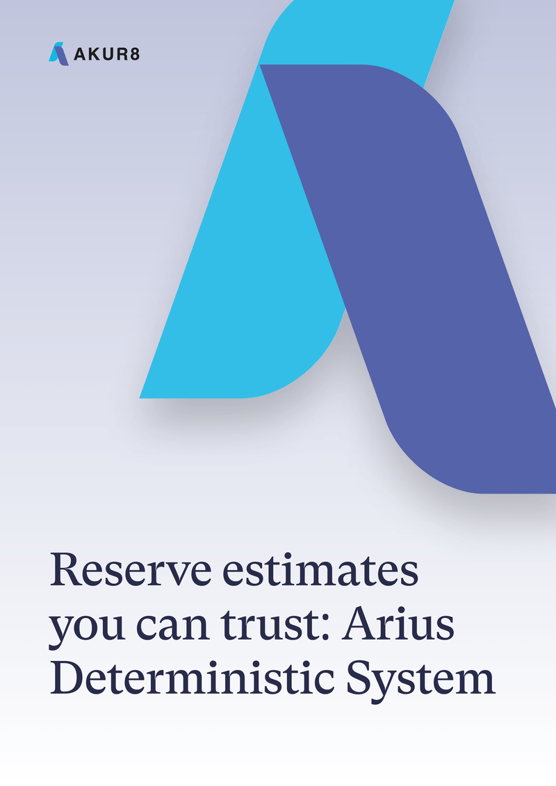 Actuarial Reserving: Analyze your Reserves Efficiently with Arius