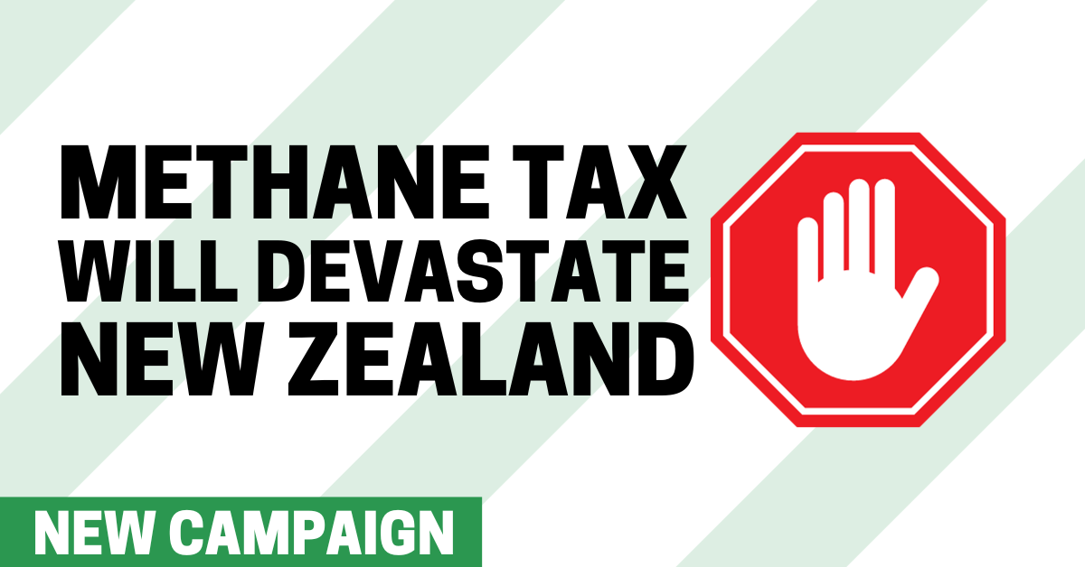 NEW CAMPAIGN: Methane Science Accord - Groundswell NZ