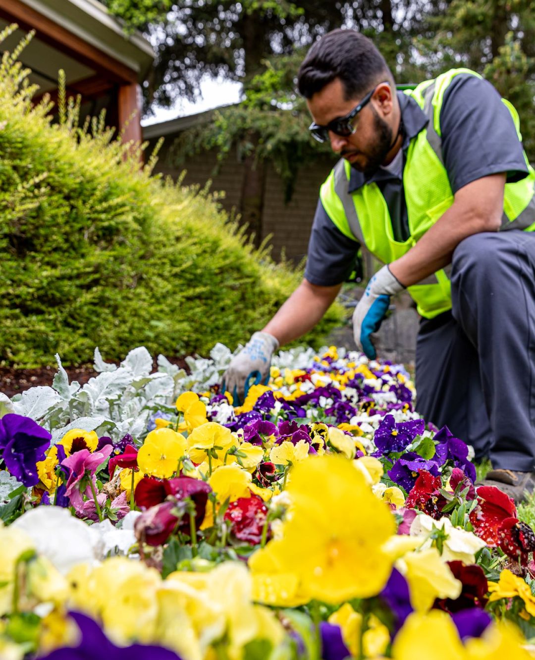 Home Page - Northwest Landscape Services