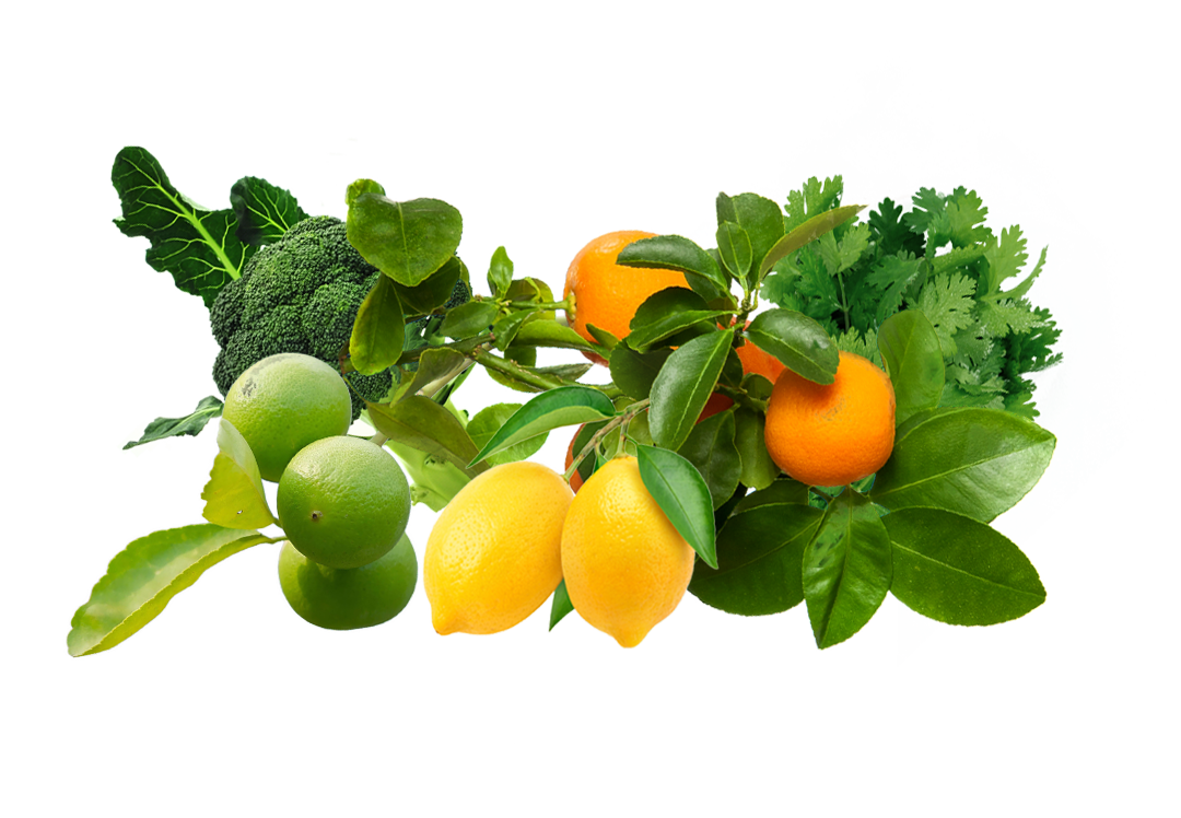 Searles | Fruit & Vegetables