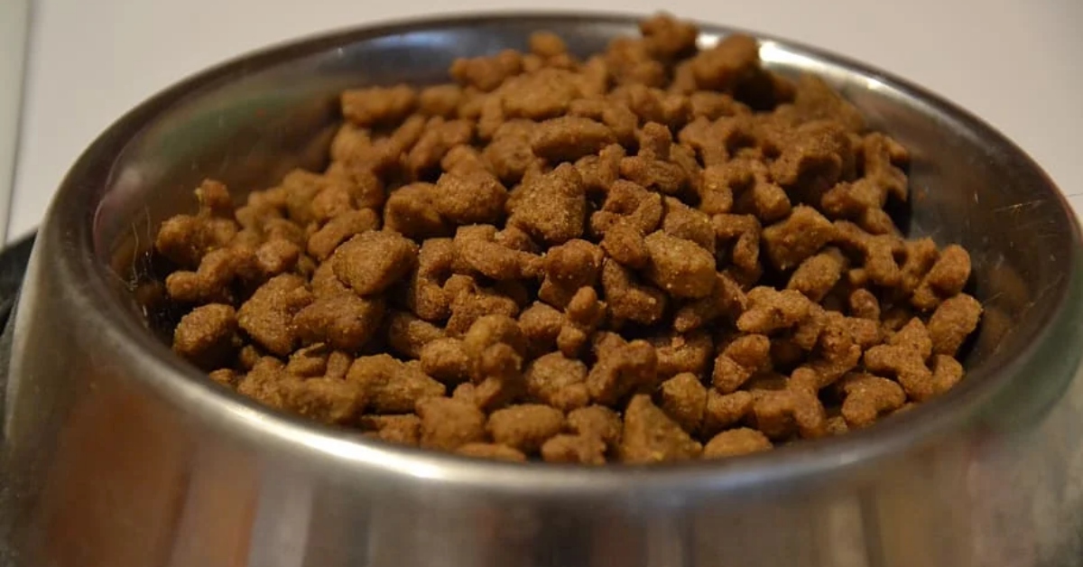 Best Dog Foods for Labradors