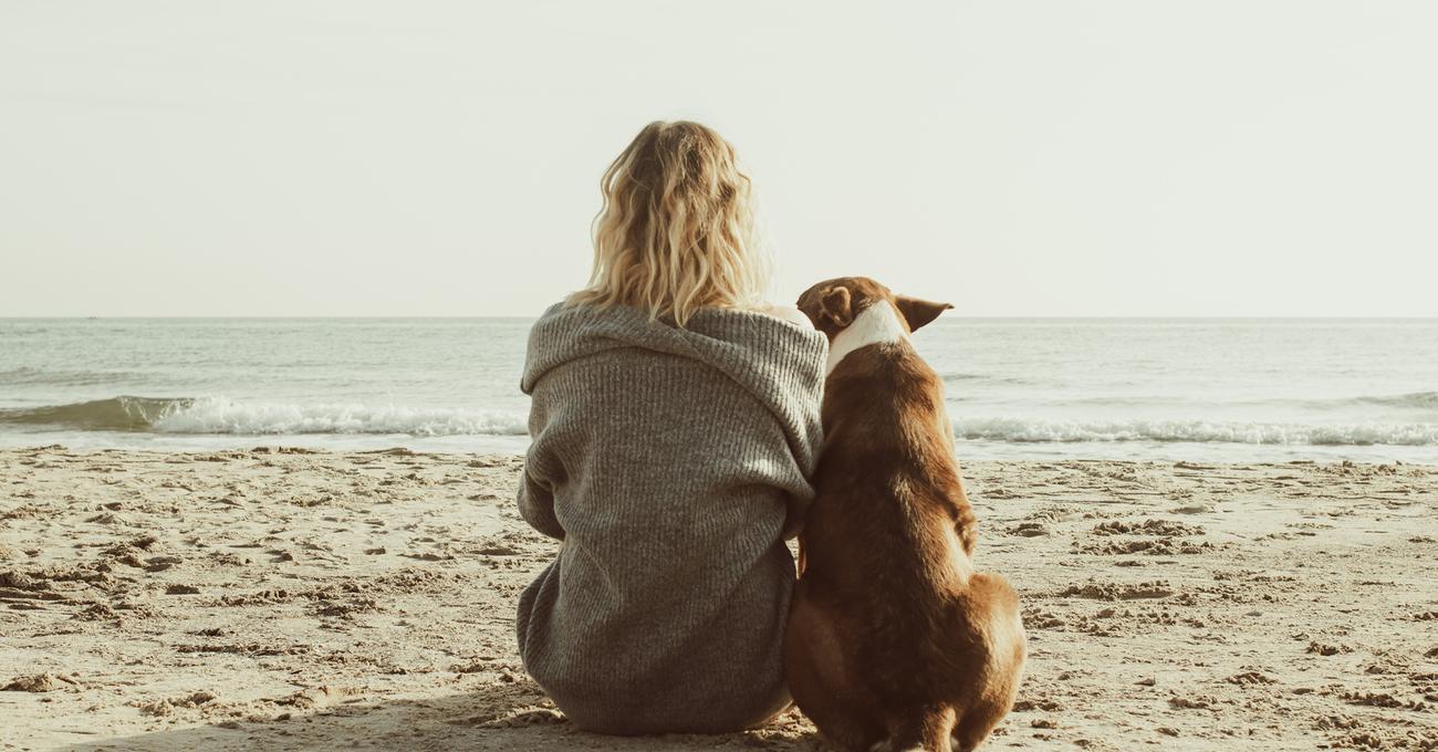 17 Heartwarming Quotes for Dog Moms | Everything Labradors