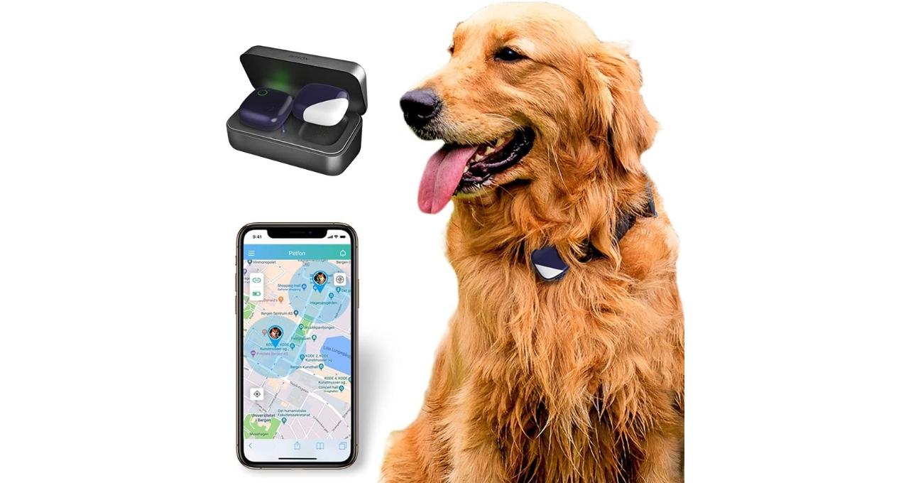 Petfon Pet GPS Tracker Review Everything Labradors