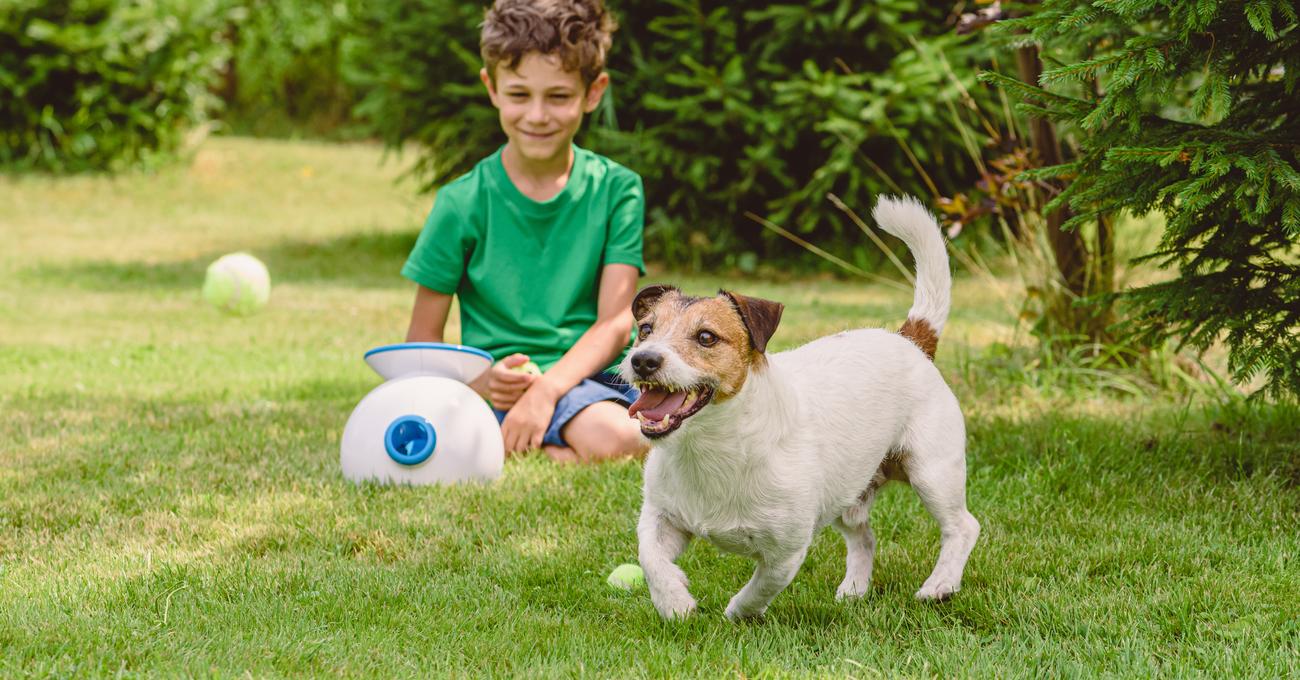 14 Dog Gadgets Only Tech-Savvy Pet Owners Will Appreciate