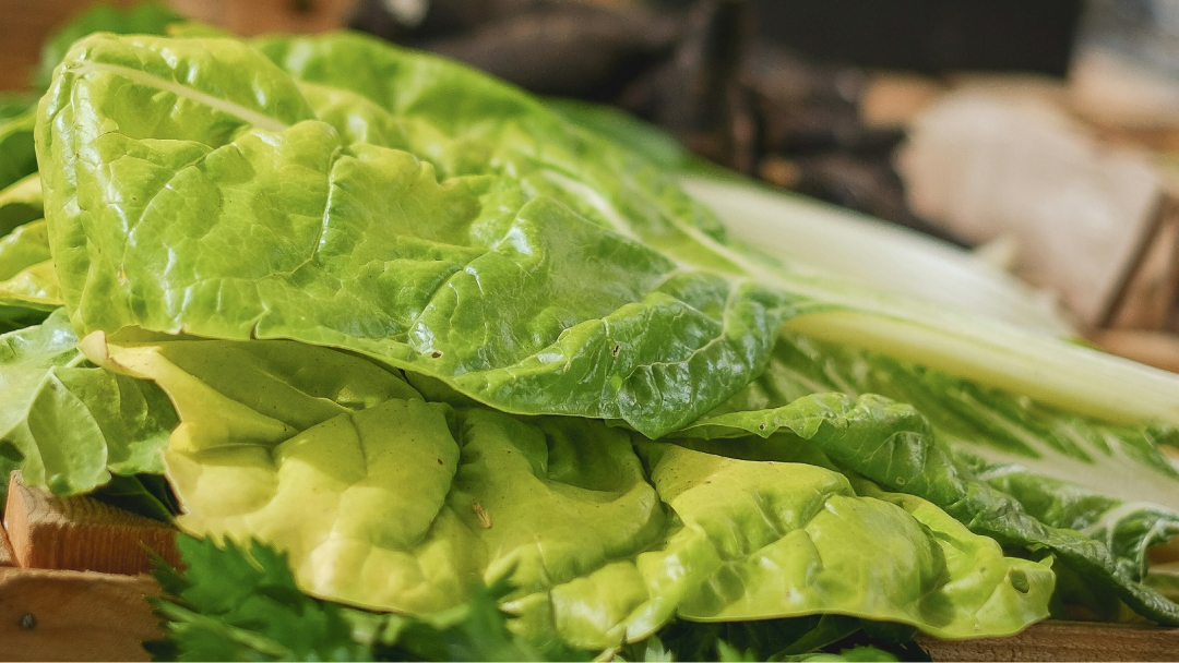 Acelga: Benefícios e como incluir na dieta | Liti Saúde