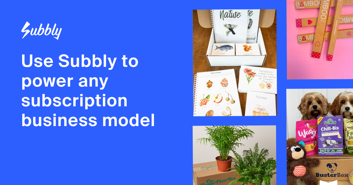 Subbly use cases: power any subscription model with ease