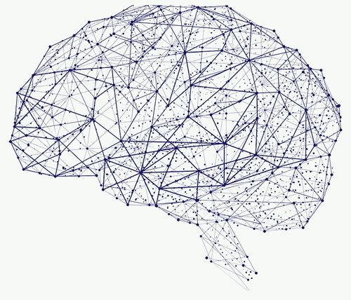 Train Your Brain With Lace AI Pro