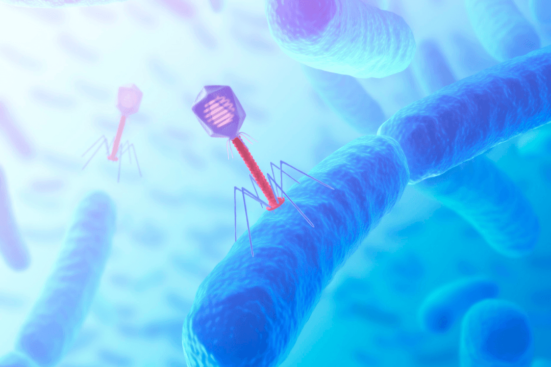 Eligo Bioscience Achieves Breakthrough in In Vivo Bacterial Genome ...