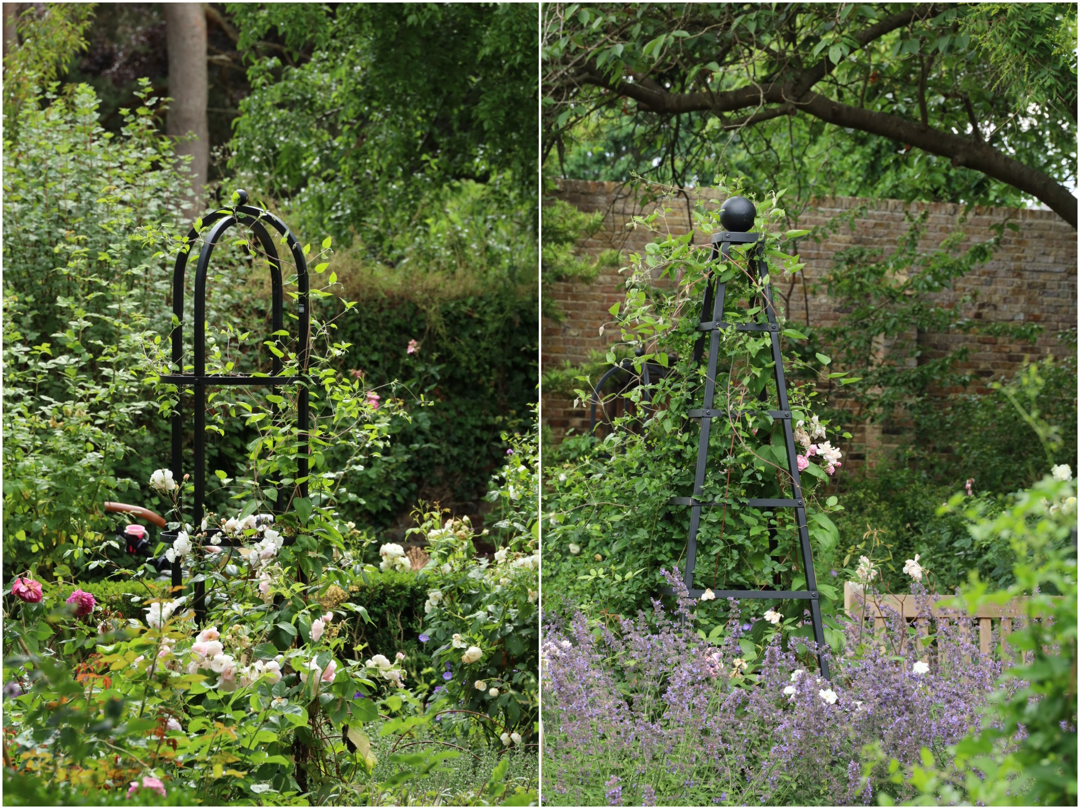 A Hidden Gem: The Rose Garden in Cannizaro Park, London