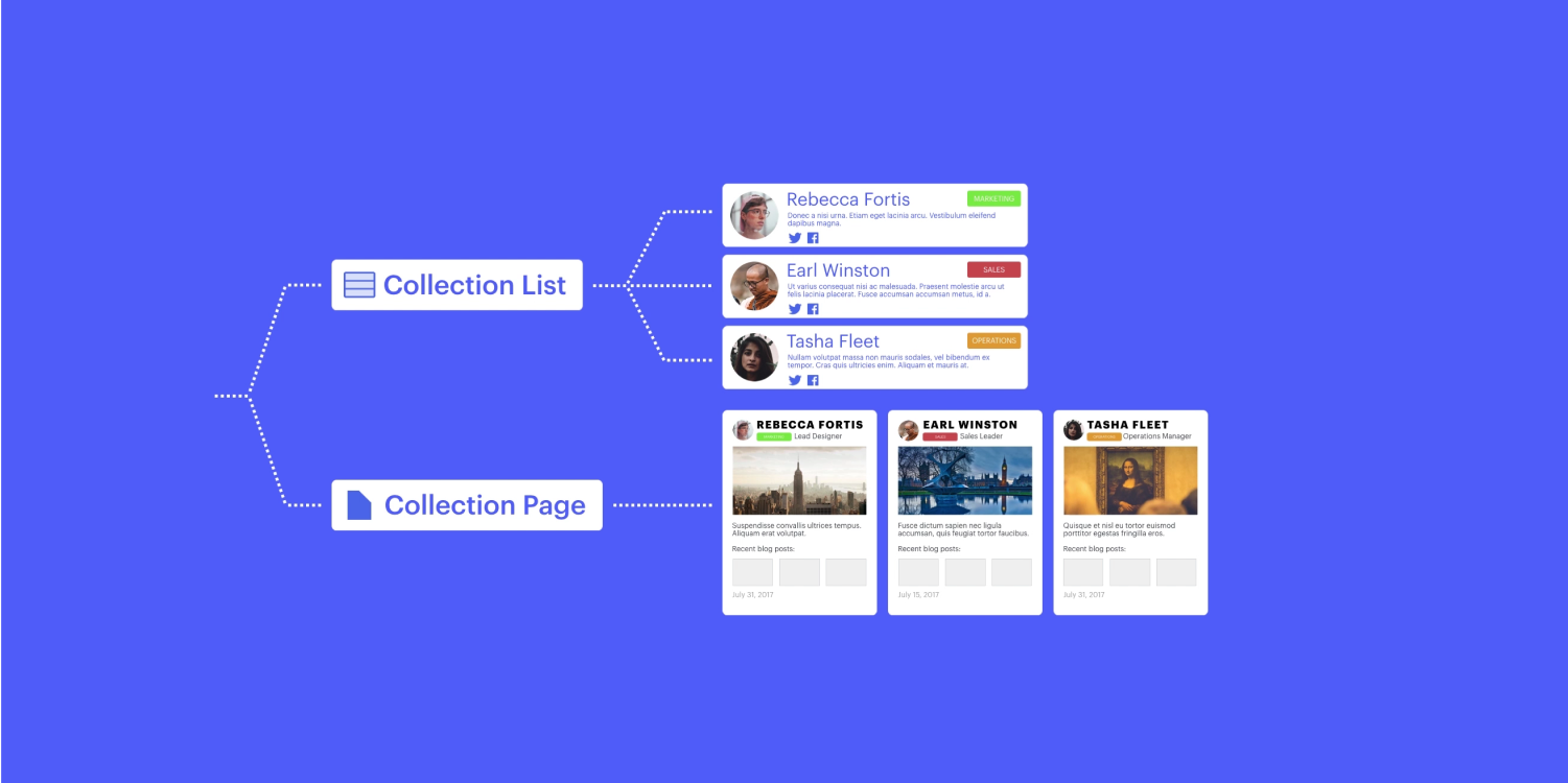 How To Get Webflow CMS Plan For Free