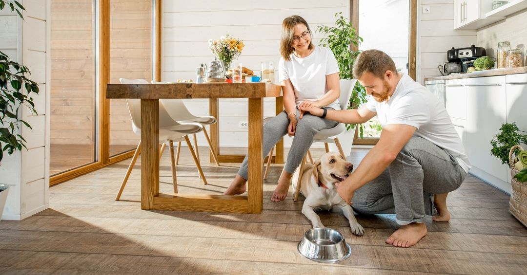 Home Renovation 101: A Beginner's Guide | Shepherd's Hardware
