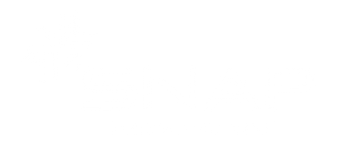 Ayoconnect - Payments and Banking Enablement for Indonesia