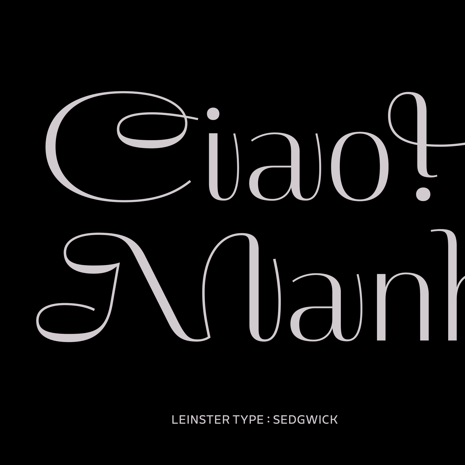 Fonts by Leinster Type
