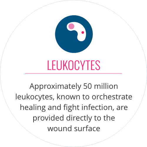 Home 3C Patch by Reapplix