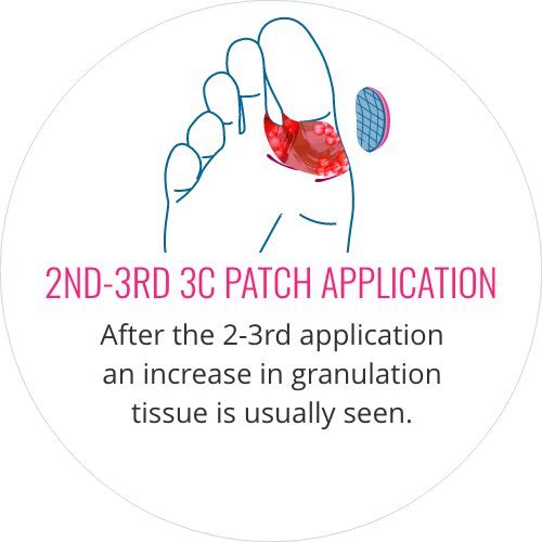 Home 3C Patch by Reapplix