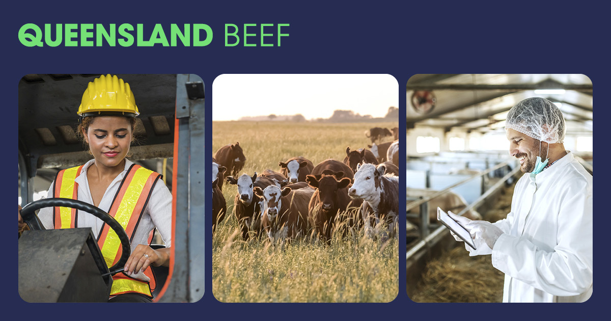 QLD Meat Processing Industry
