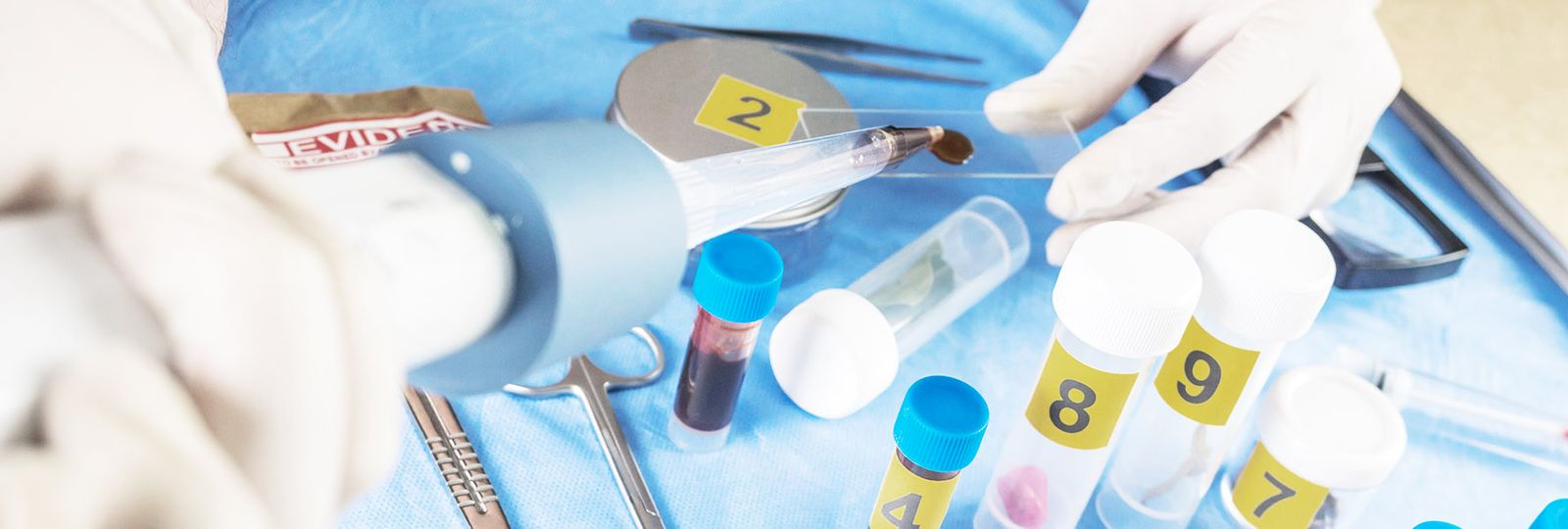 Applications - crime scene buffers