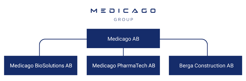 About Medicago