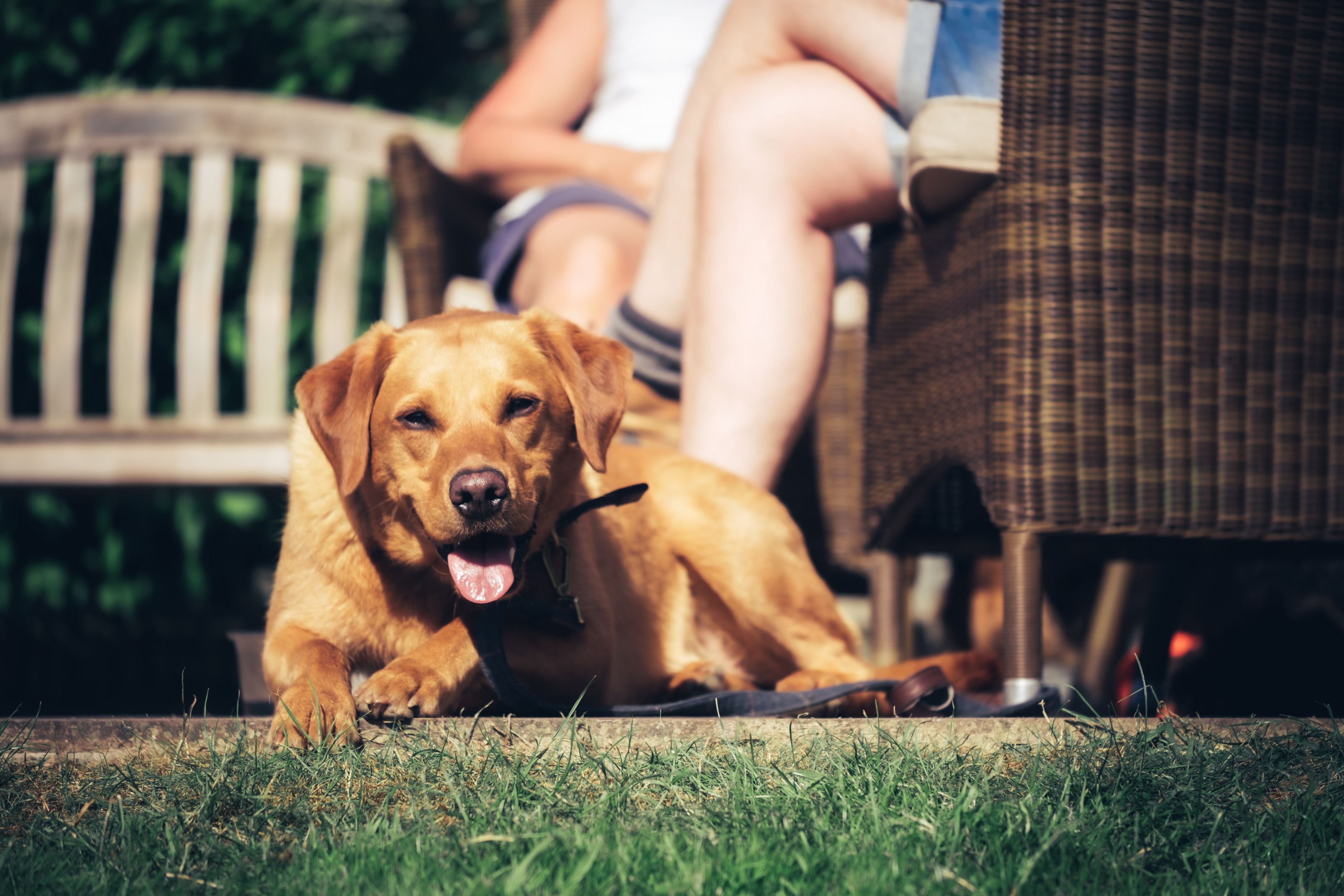 Mary Mount Hotel | Derwentwater, Borrowdale Keswick | Dog friendly ...