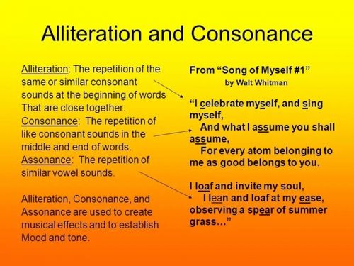 Difference of alliteration, consonance, assonance? |Grammar