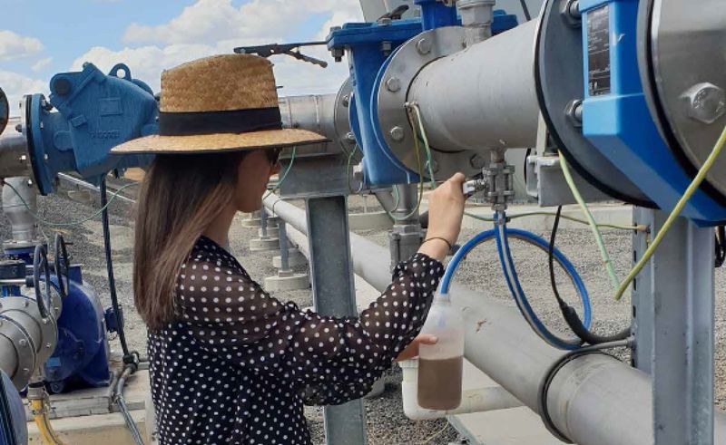 QLD Meat Processing Industry