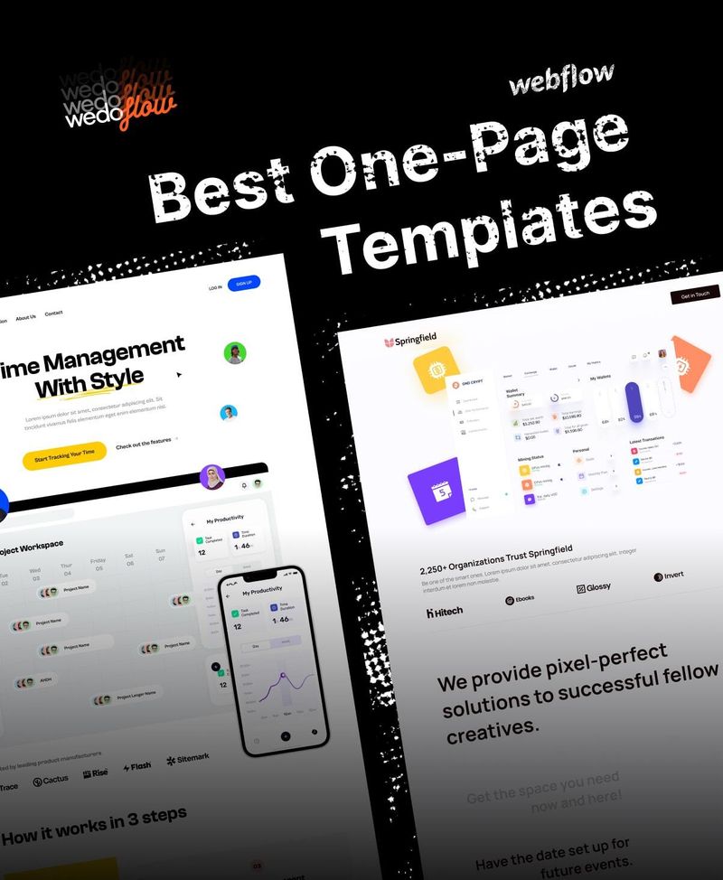 Premium One-Page Website examples