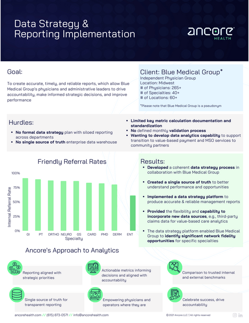 Data Strategy and Reporting Implementation