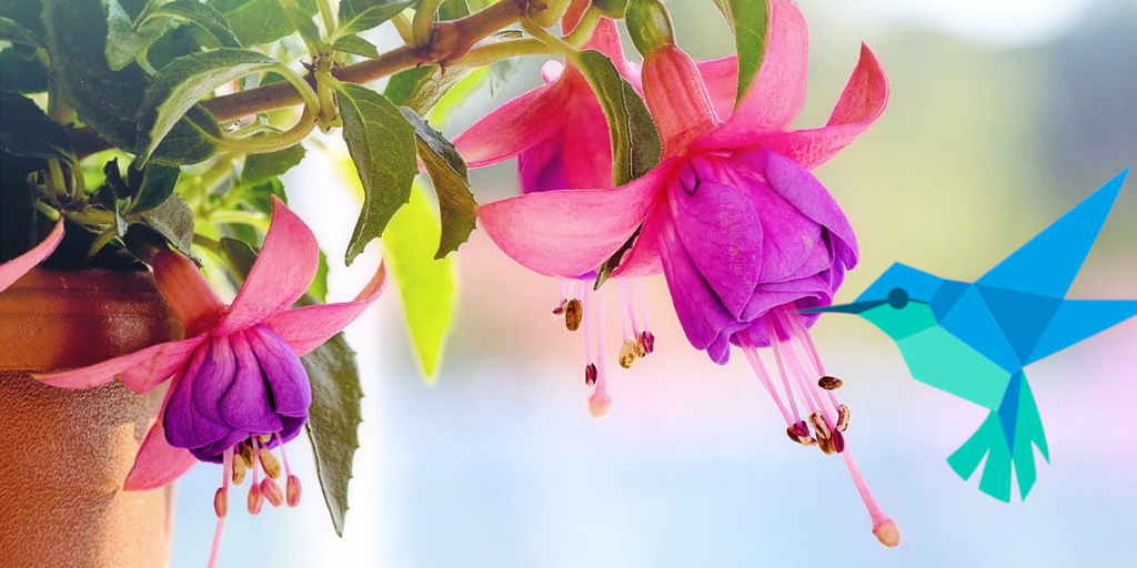 Futureproofing your Flutter app by testing it on Fuchsia #1