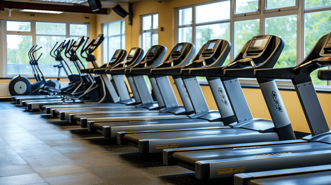 Active Steps to Resilience: Enhancing Physical Activity for Frailty ...