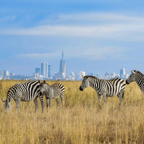 Attend | TED Conferences