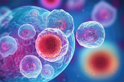 Pluripotent Stem Cell (PSC) Applications Library | PBS Biotech
