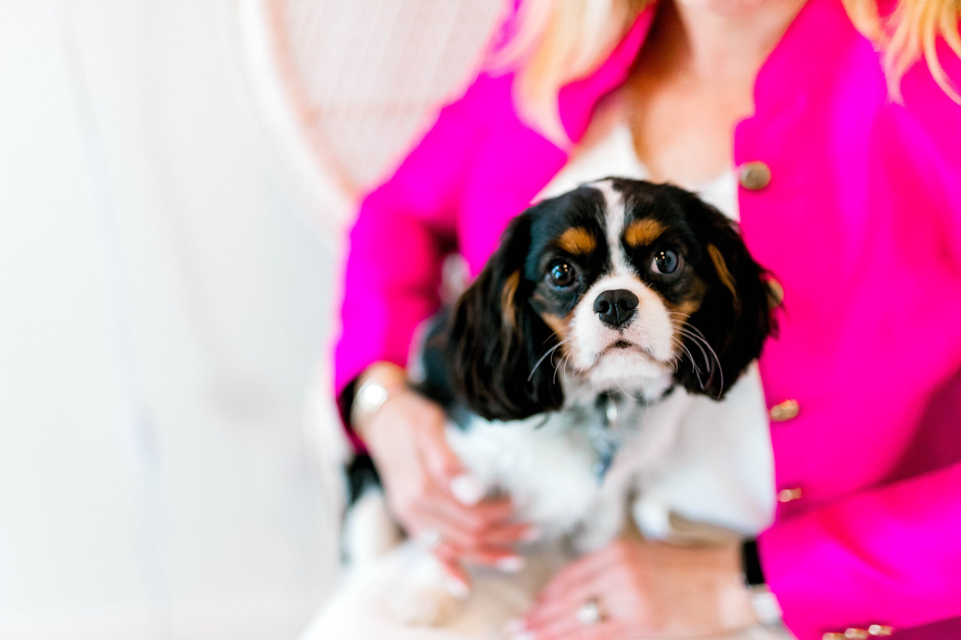 Texas Excel Title, Real Estate Title & Development