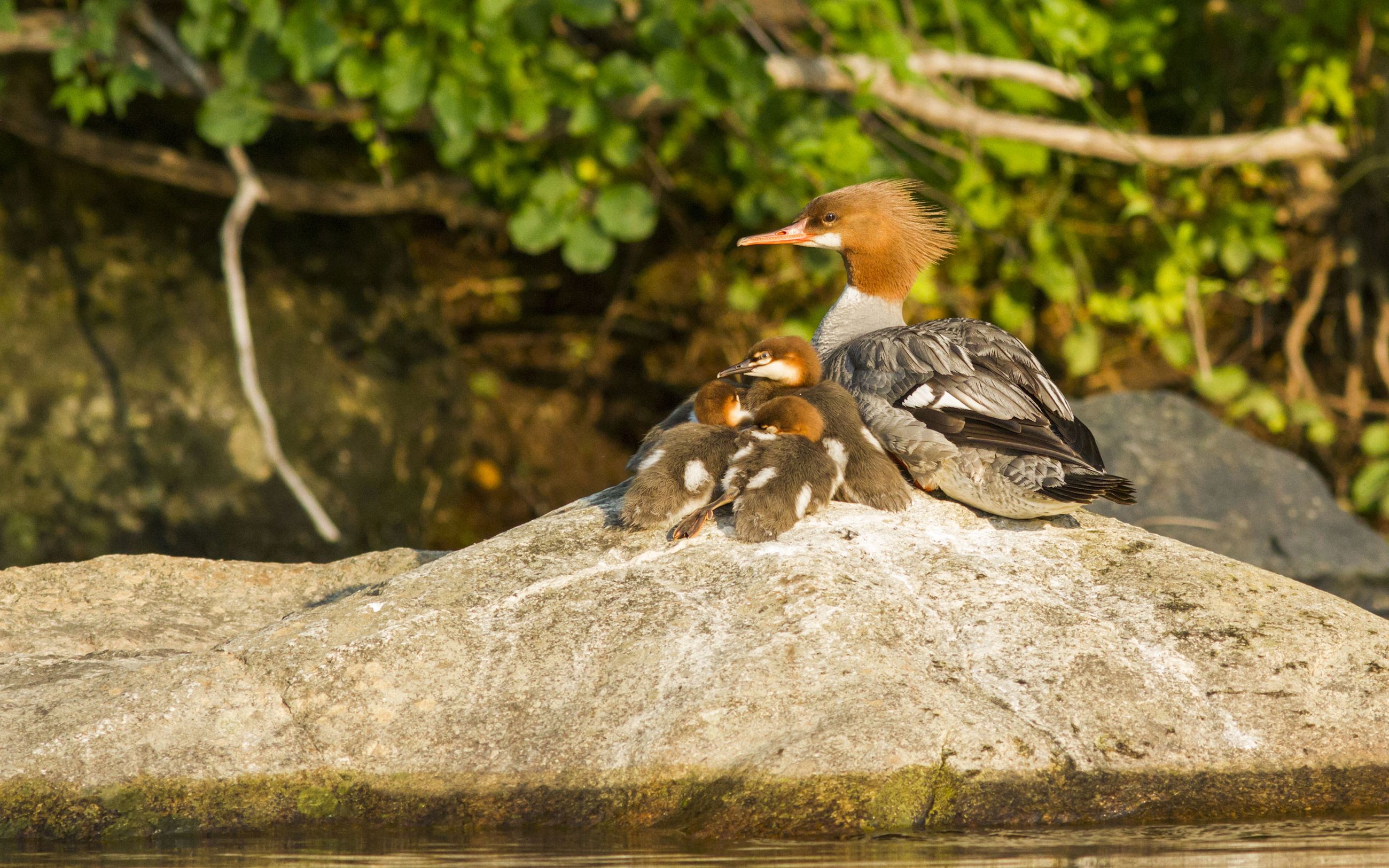 Riverton, CT - Adventure Awaits