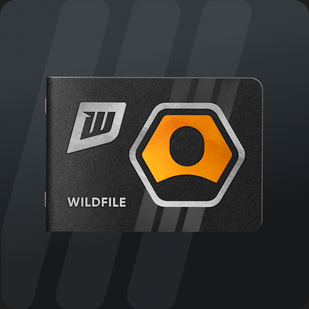 Wildcard - A PVP + Collectible card-based MOBA Game for the Ages