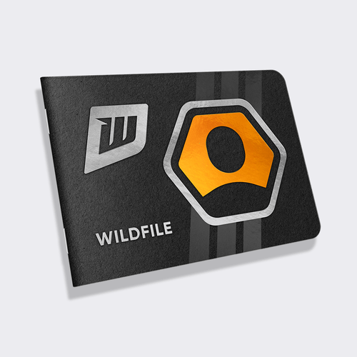 Wildcard - A PVP + Collectible card-based MOBA Game for the Ages