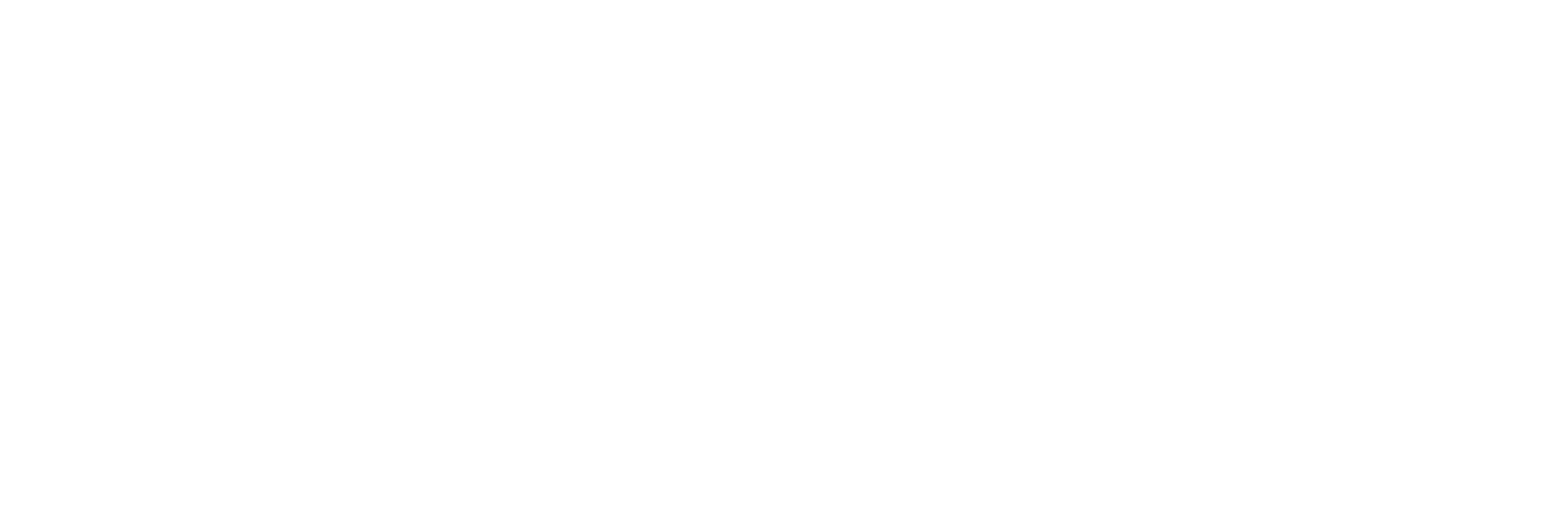 World Leader in Low Code Digital Transformation | EvonSys