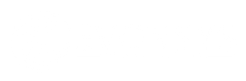 World Leader in Low Code Digital Transformation | EvonSys