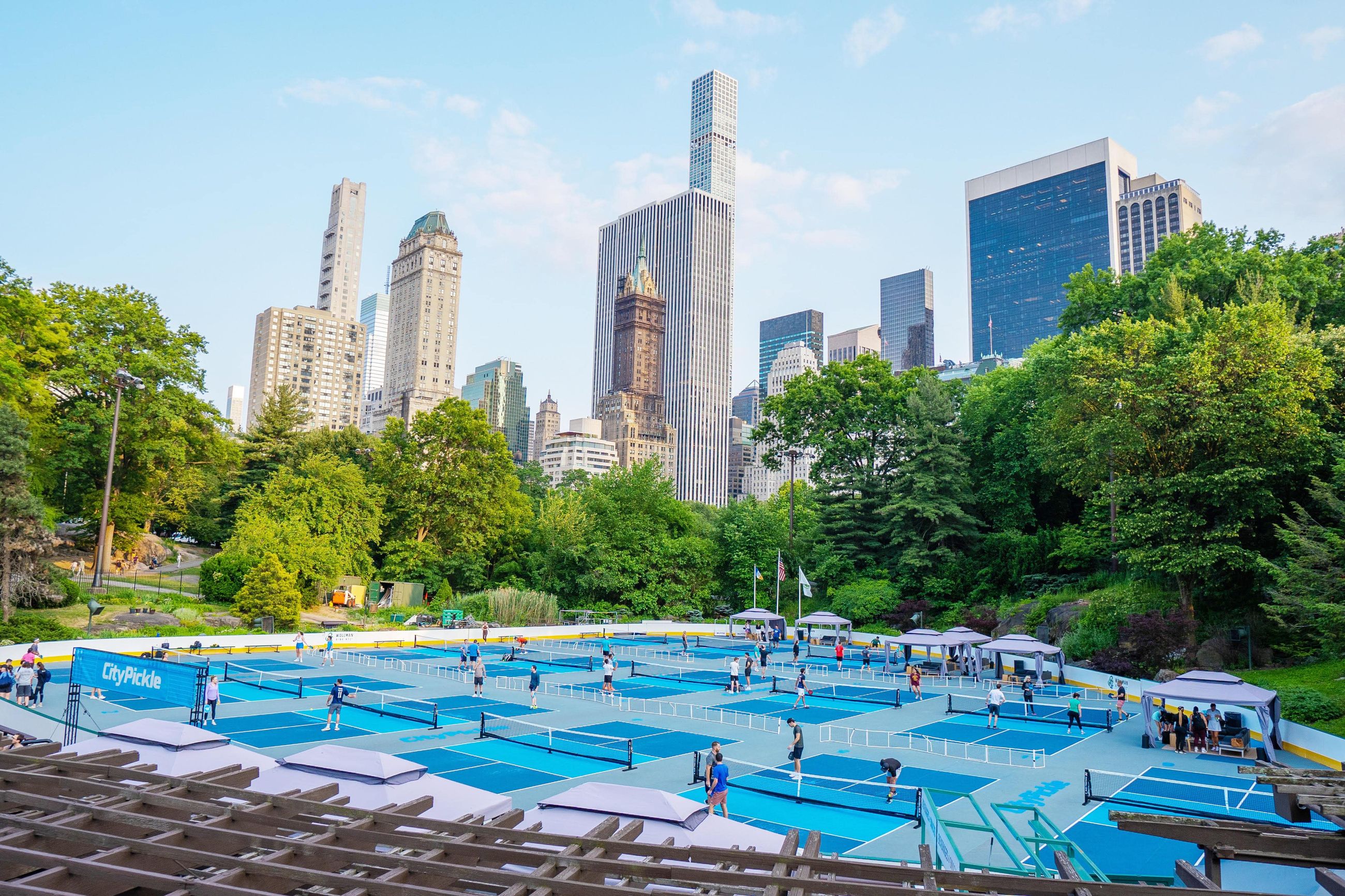 CityPickle | Wollman Rink