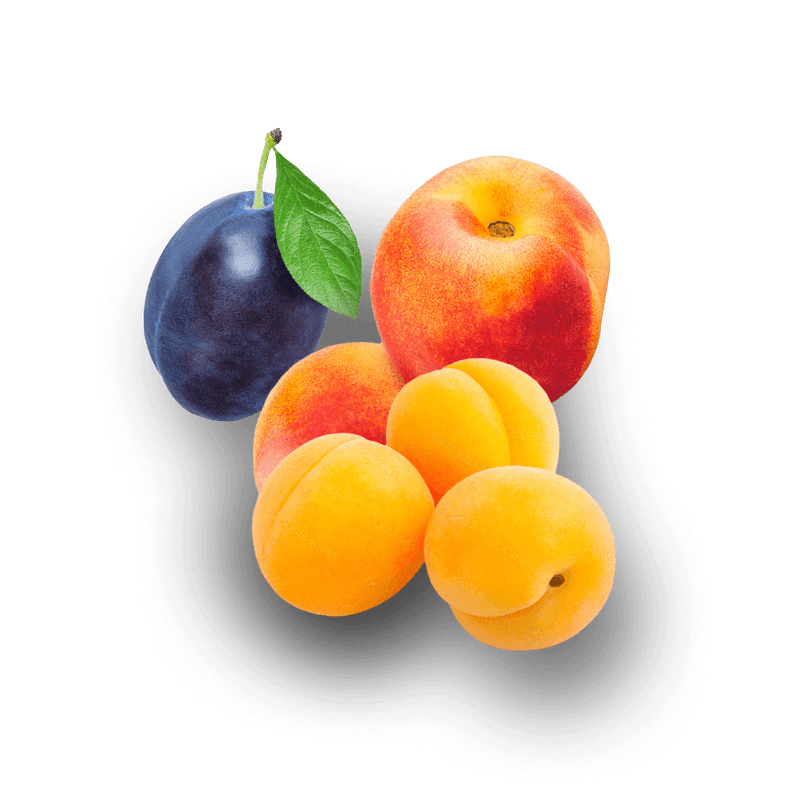 Hazel Technologies, Inc.