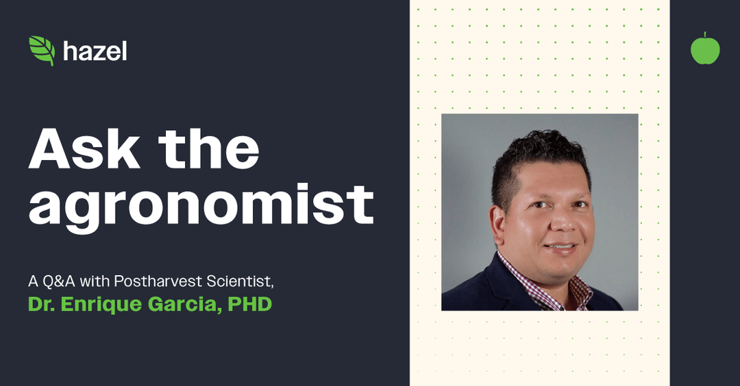 Hazel Technologies Blog - Industry Insights and Happenings