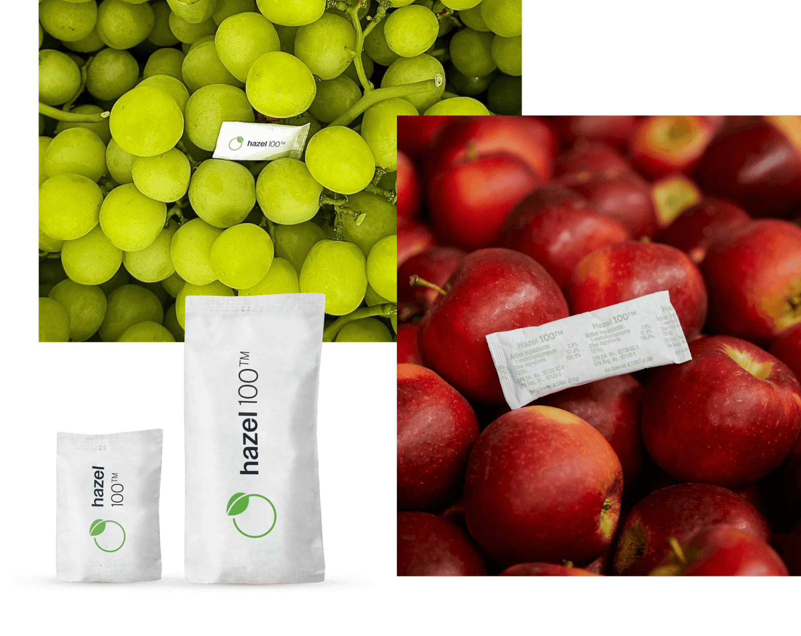 Hazel 100™ from Hazel Technologies