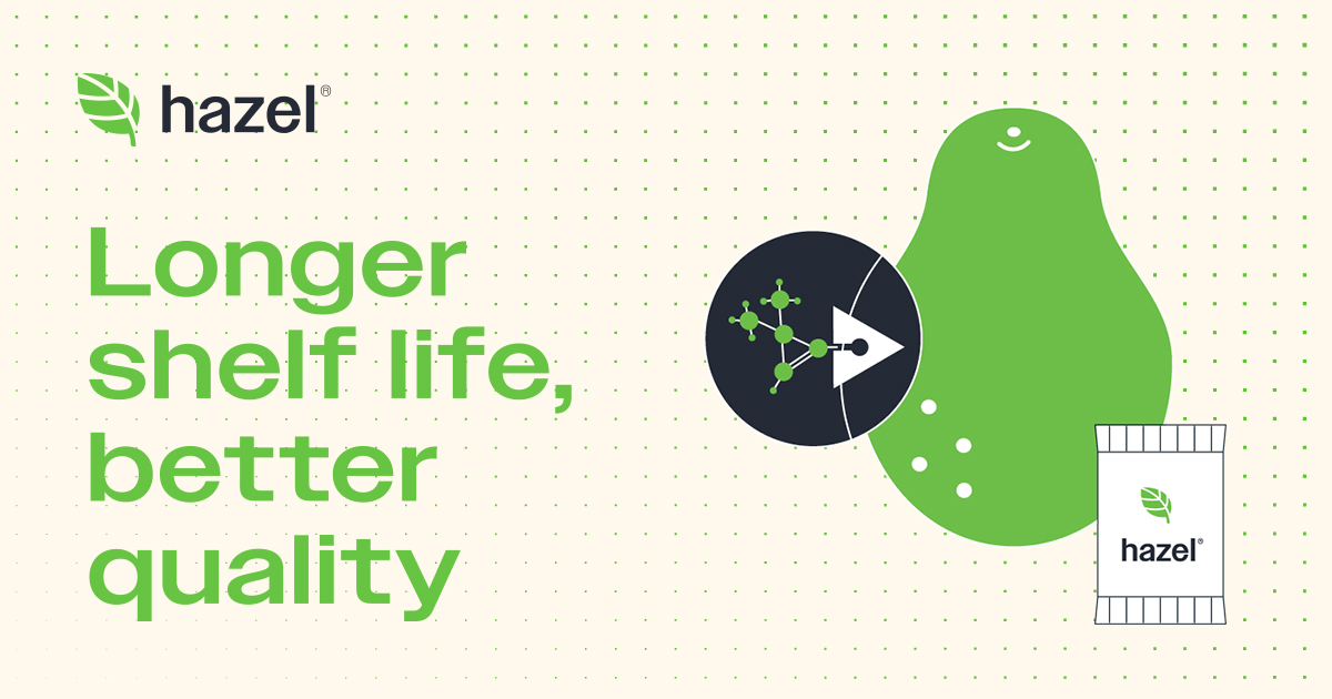 How Hazel Technologies Work