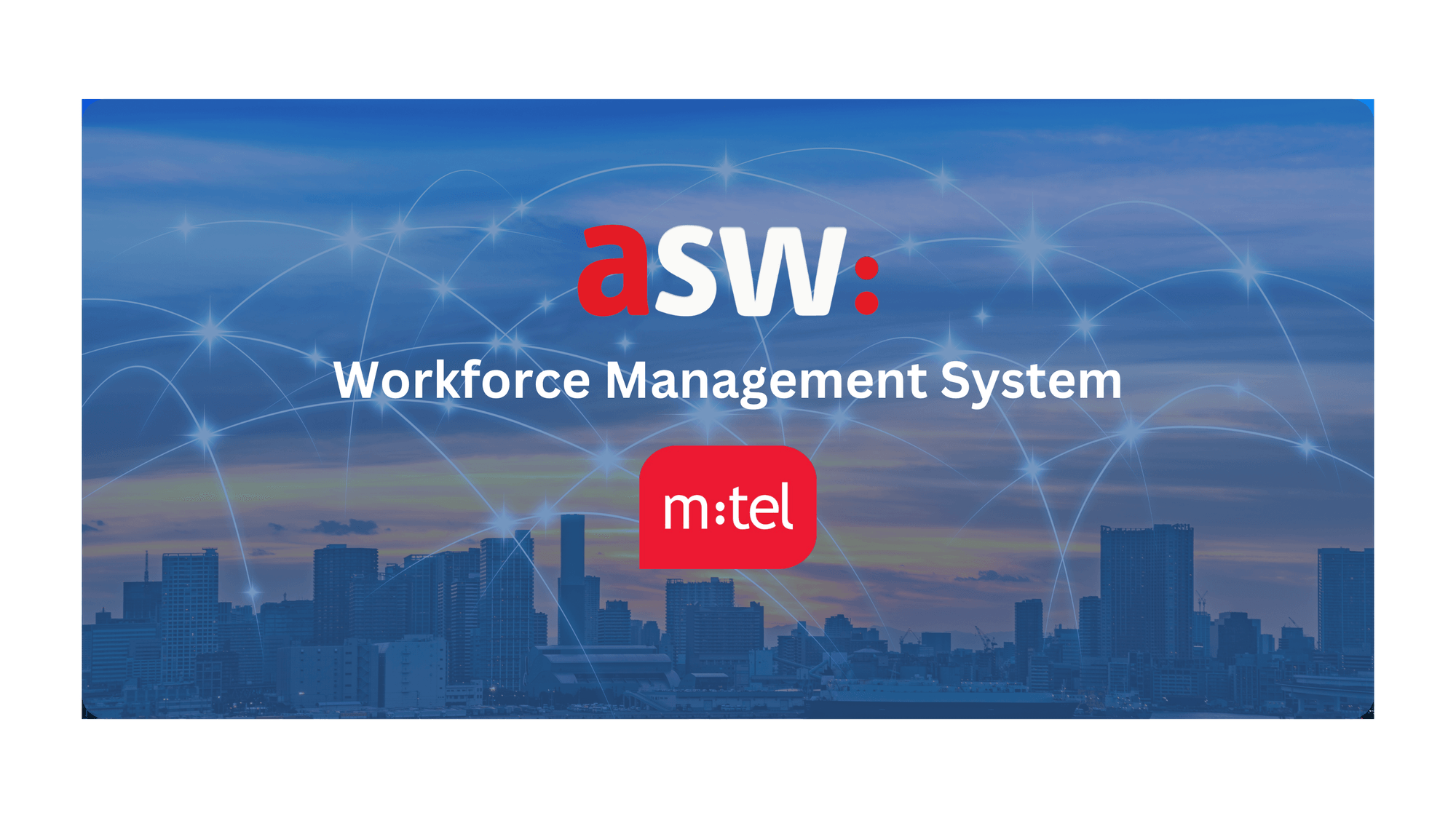 Leader in the fields of Information System Development in Serbia and ...