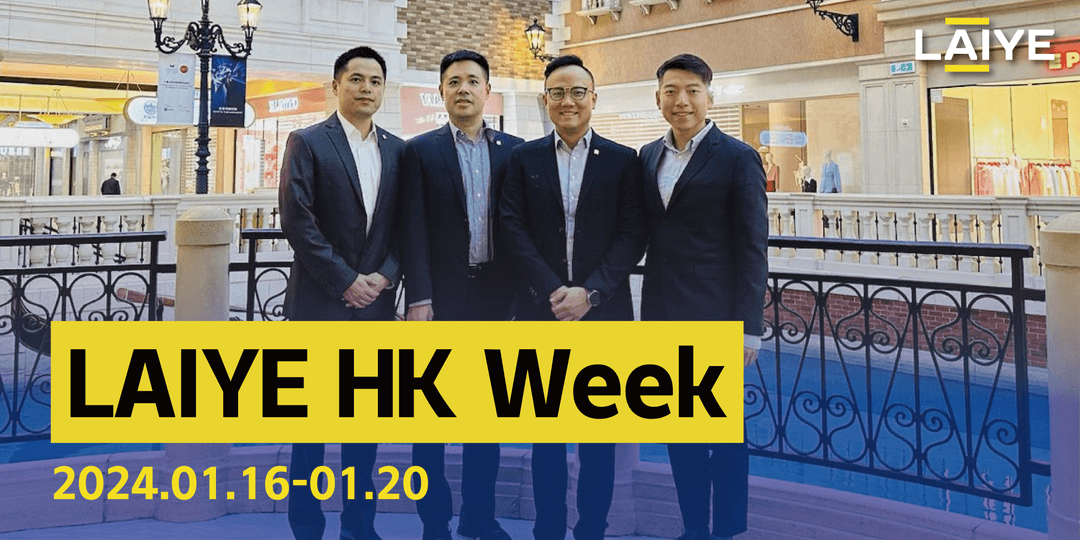 Laiye - Work Execution System - Intelligent Automation