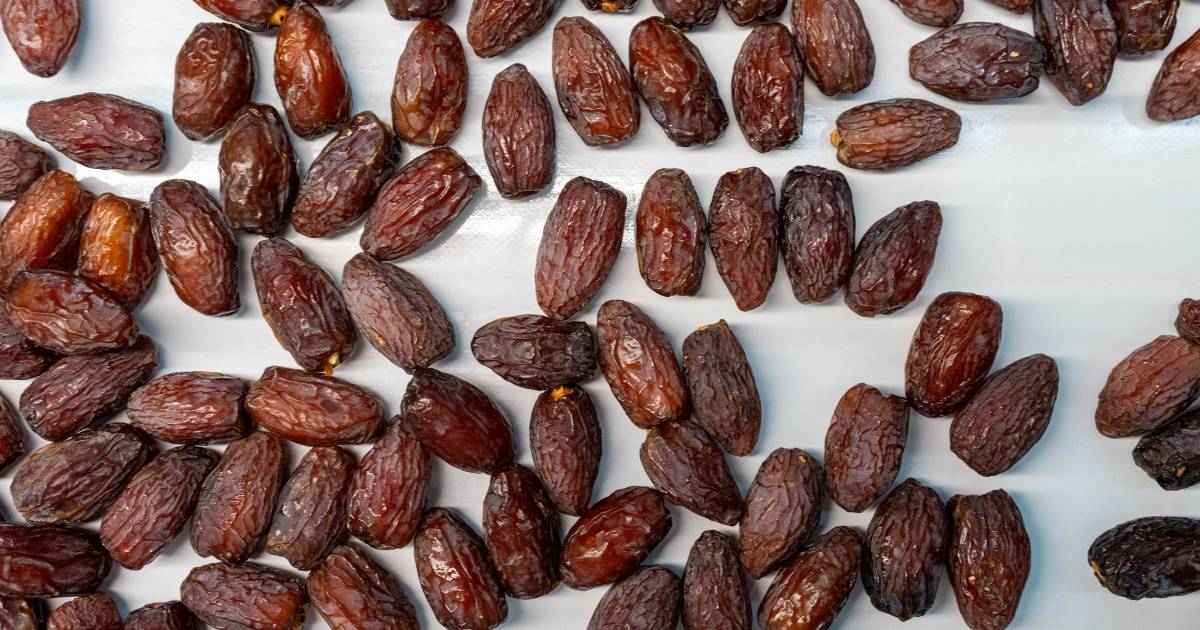 Tout savoir sur la datte Mejhoul | Medjool Star