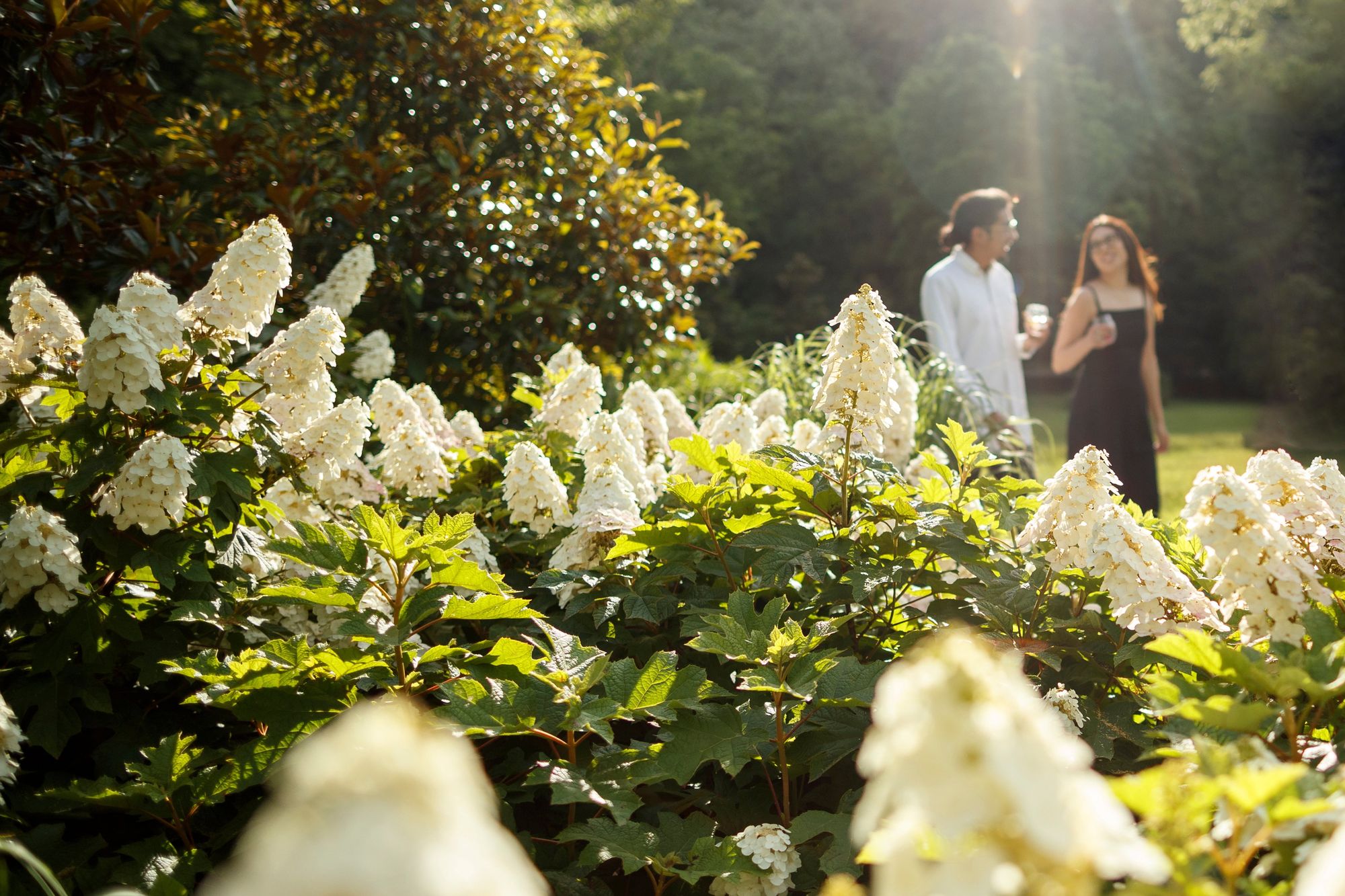 Visit Castle & Key Distillery | Experience Kentucky Bourbon