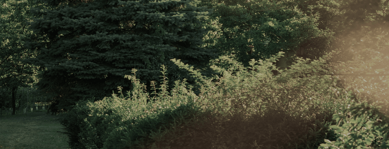 Our Story: The Journey and Values of Balentine