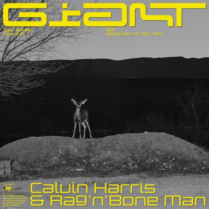 Music | Calvin Harris | Official Website