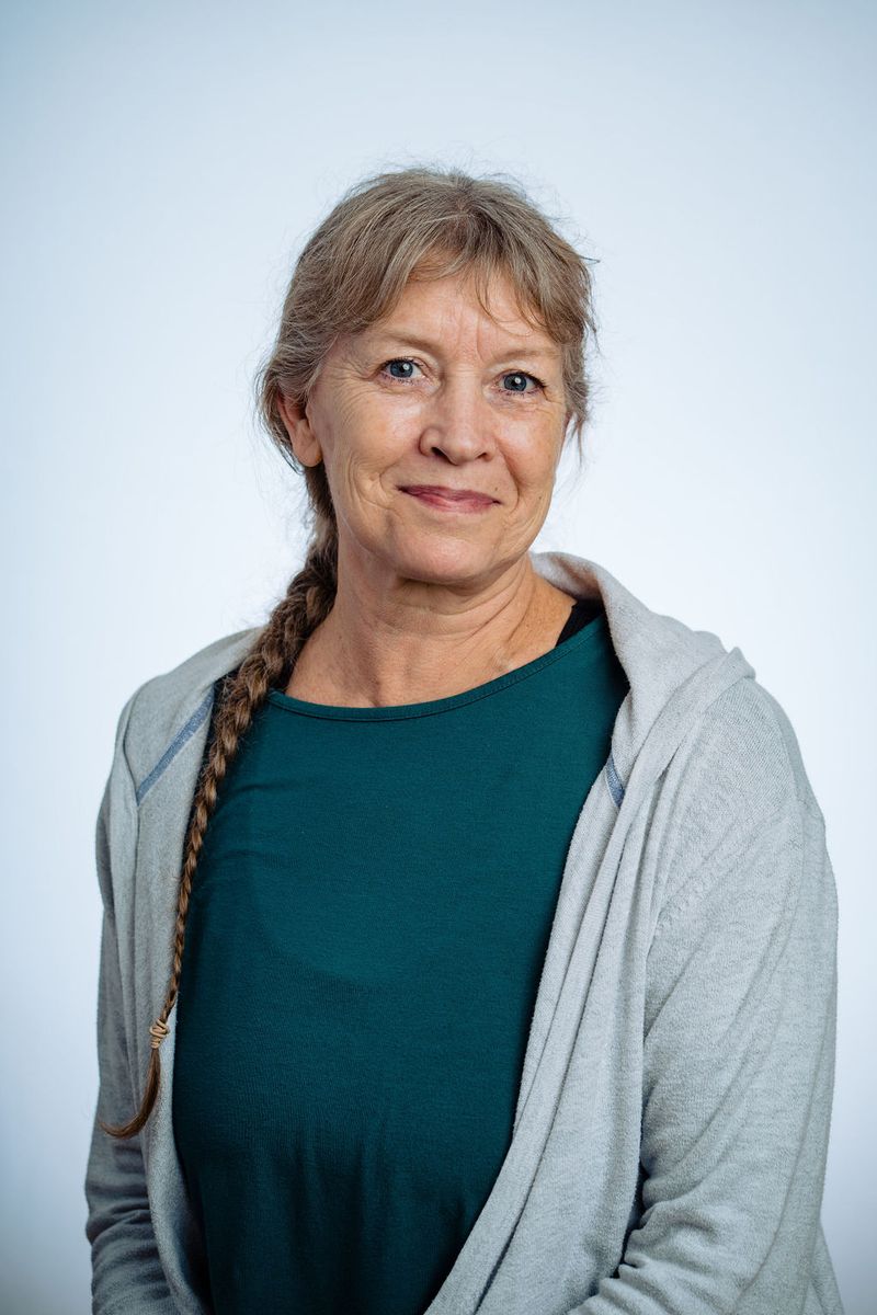 Sophia Health Institute Team