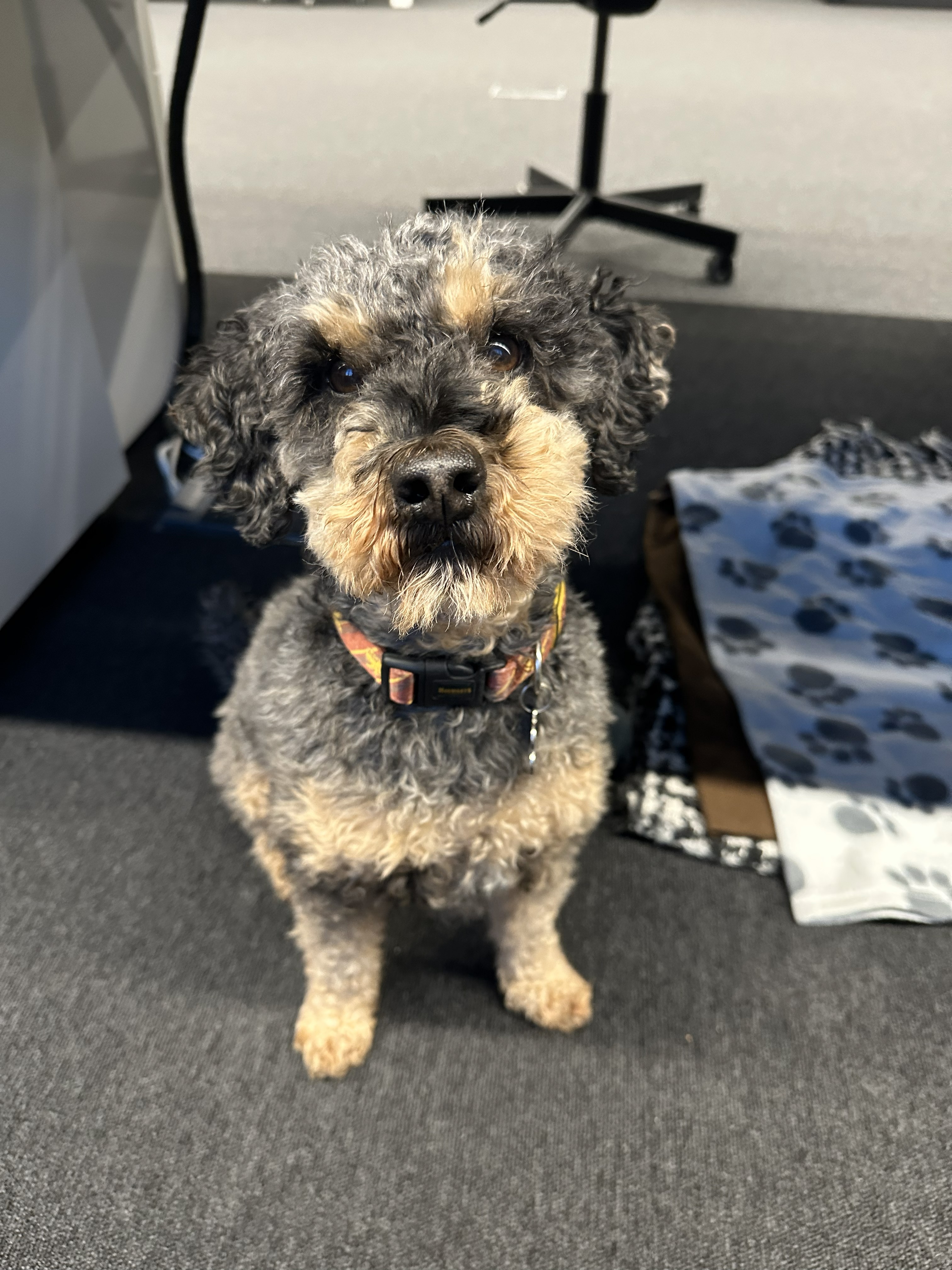 Our New Home at Generator Studios